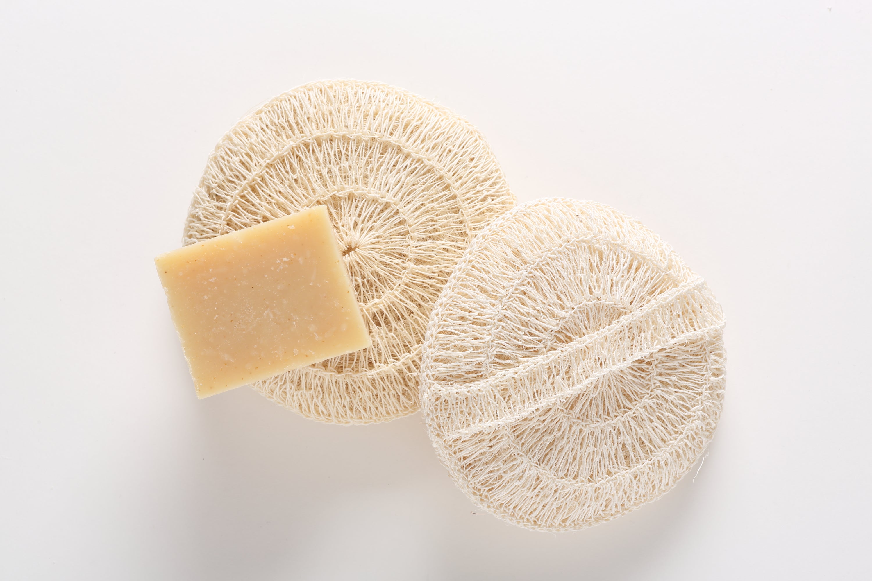 Body Sponge – The Perish Trust